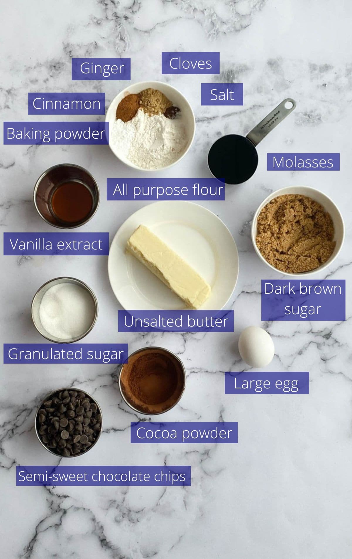 Easy Chewy Chocolate Gingerbread Cookies – Nina Kneads to Bake