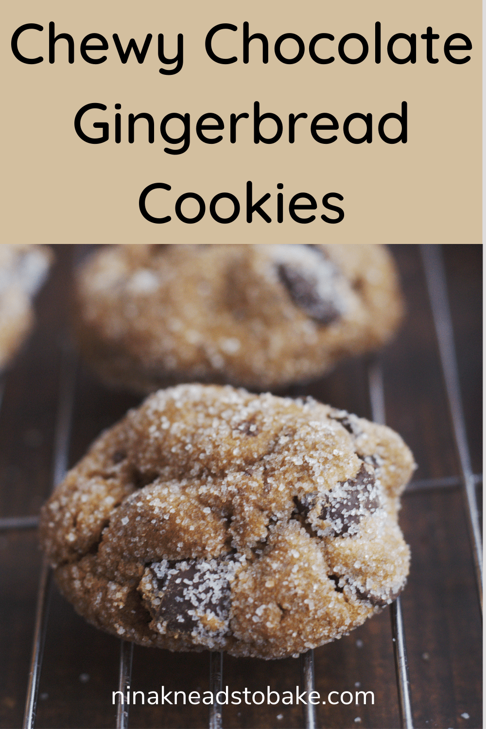 Chewy Chocolate Gingerbread Cookies – Nina Kneads to Bake
