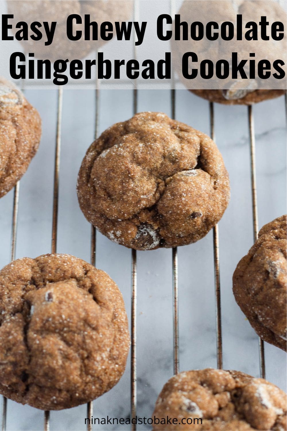 Easy Chewy Chocolate Gingerbread Cookies – Nina Kneads to Bake