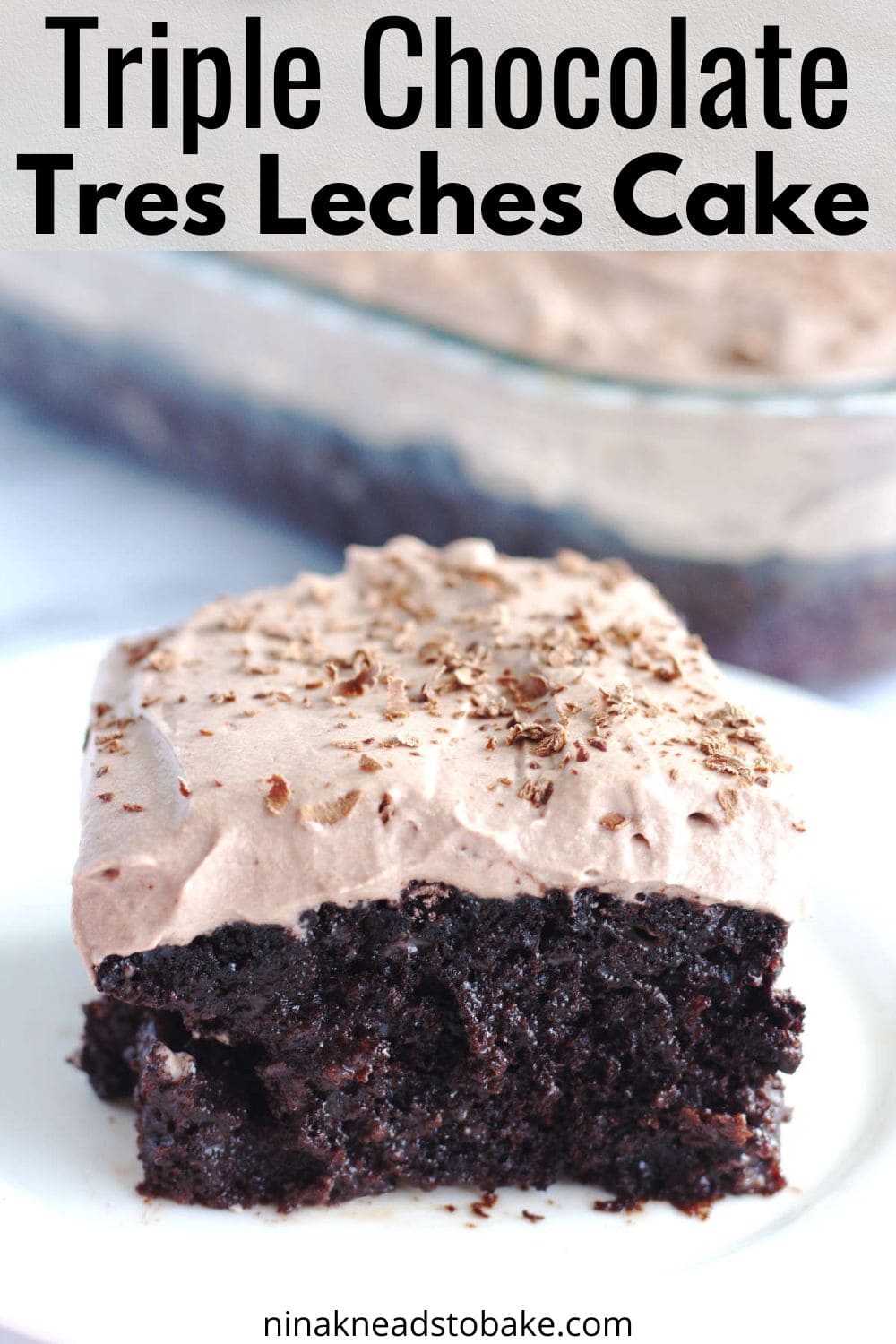 Triple Chocolate Tres Leches Cake – Nina Kneads to Bake