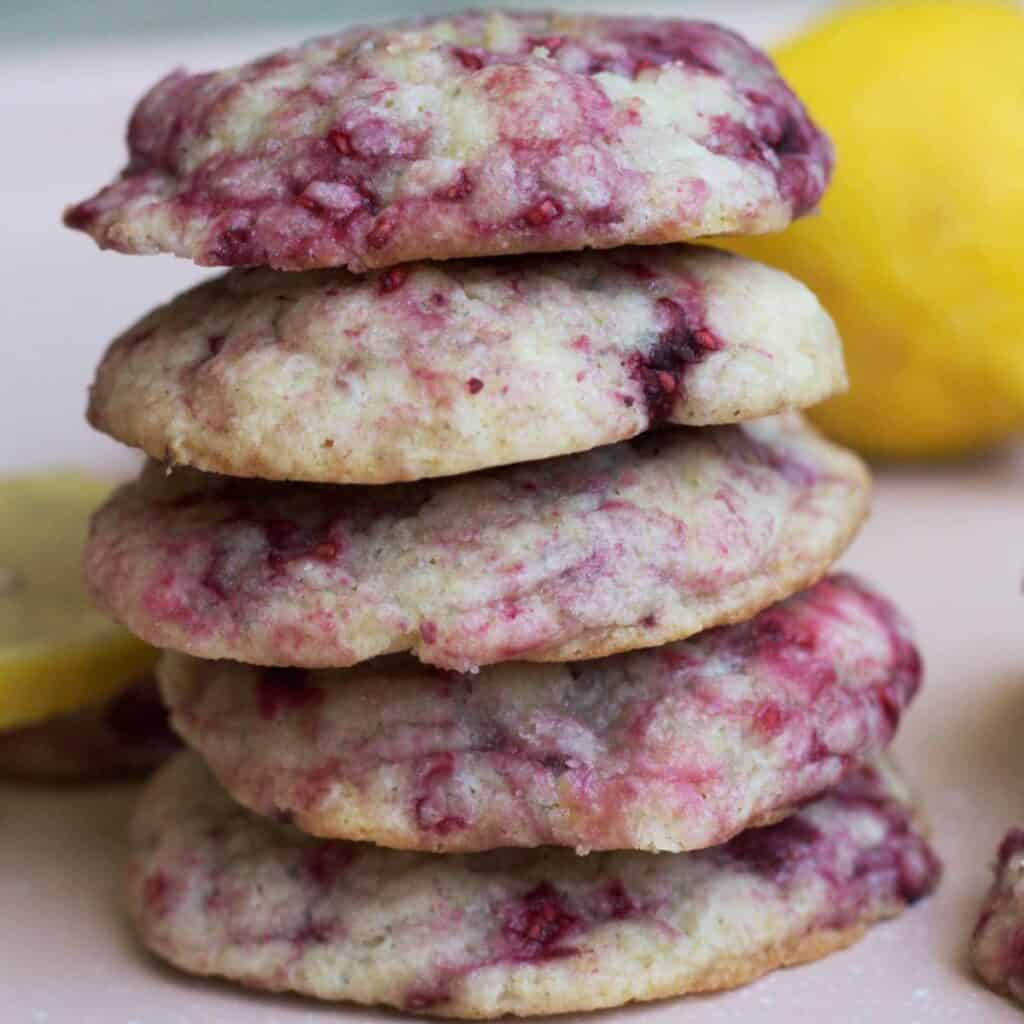 Mexican Conchas (Pan Dulce) – Nina Kneads to Bake